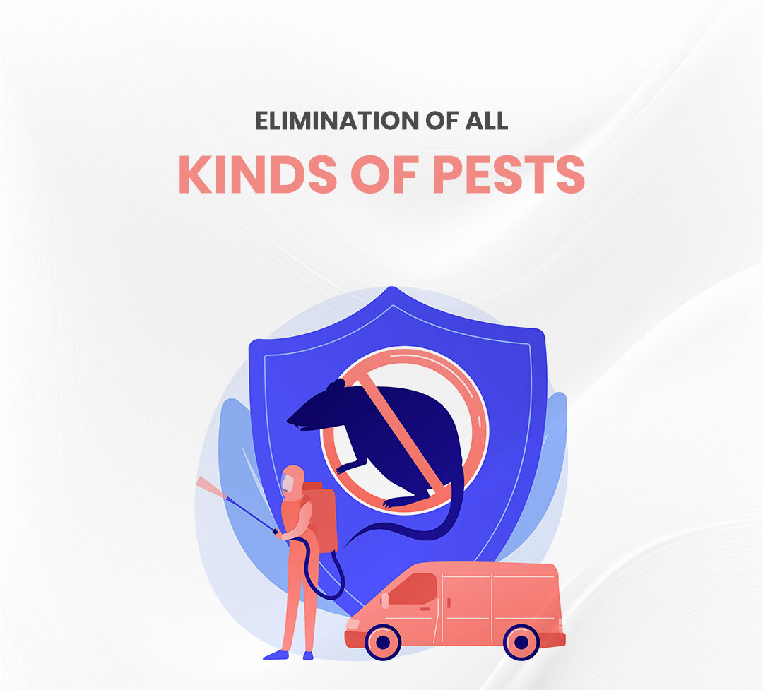 Cockroach Control - Pest Zap