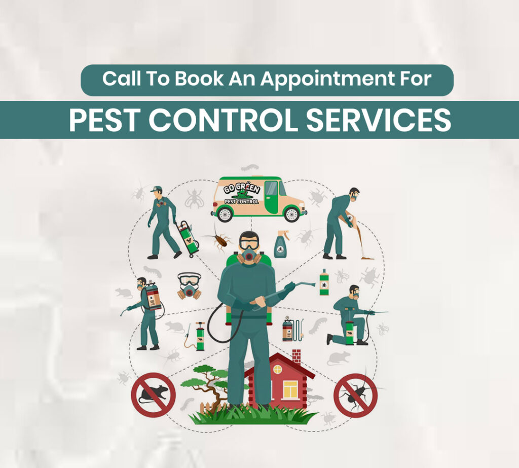 Rat control services in Surrey BC Canada - Pest Zap